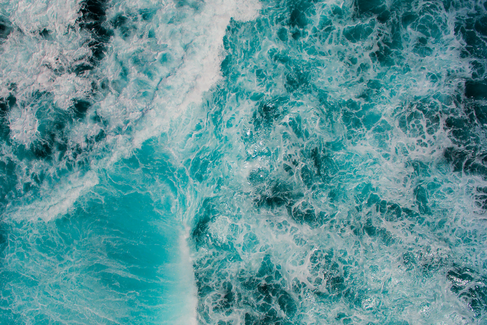 From the Oceans to Your Faucet: The Importance of Clean Water | TO112