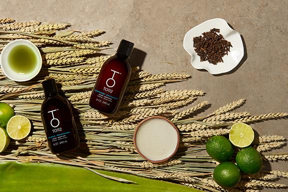 Shampoo for Normal Hair & Balanced Scalps | TO112