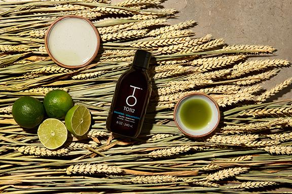 Shampoo for Normal Hair & Balanced Scalps | TO112